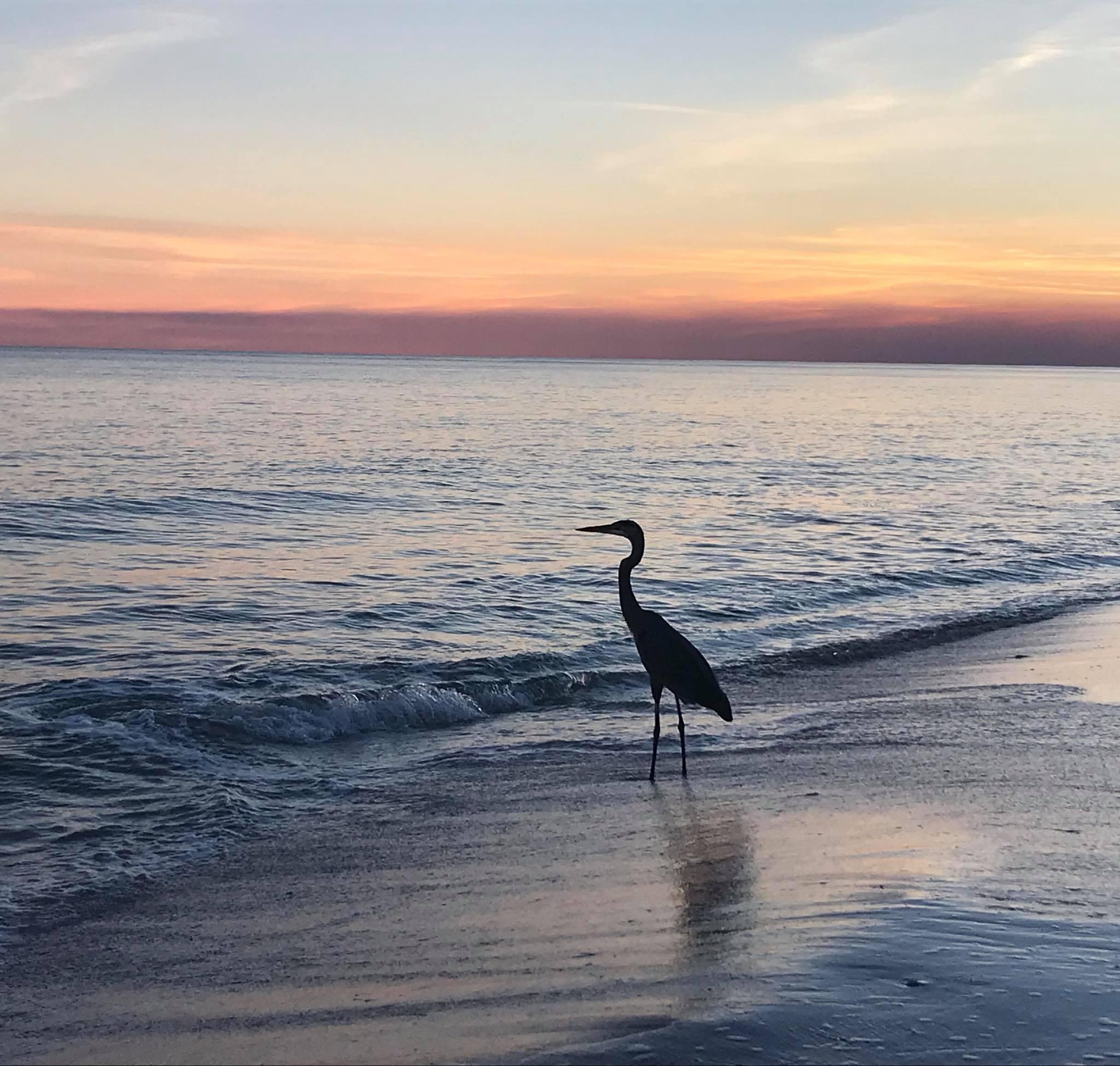 EcoGulf - SAIL PENSACOLA